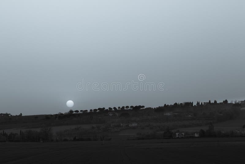 Sunset Over Trees Silhouettes, Filtered through a Cold Filter Stock ...