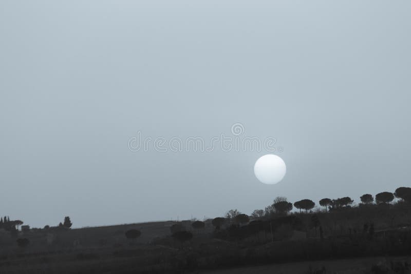 Sunset Over Trees Silhouettes, Filtered through a Cold Filter Stock ...