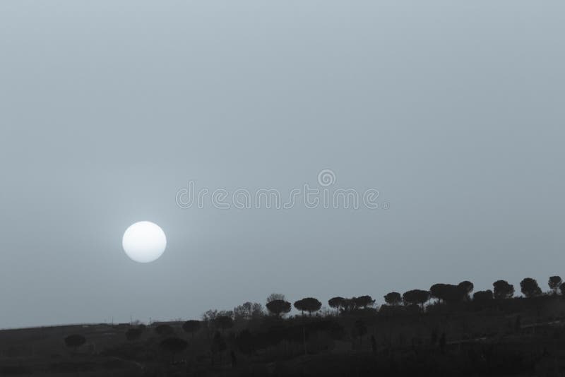 Sunset Over Trees Silhouettes, Filtered through a Cold Filter Stock ...
