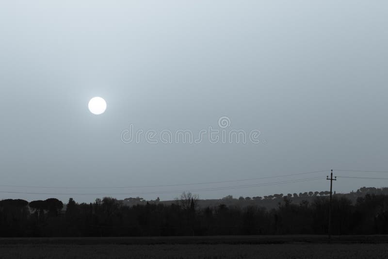 Sunset Over Trees Silhouettes and Power Lines, Filtered through a Cold ...