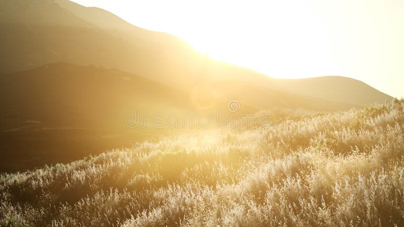 Sunset Over the Valley Fields Stock Illustration - Illustration of ...