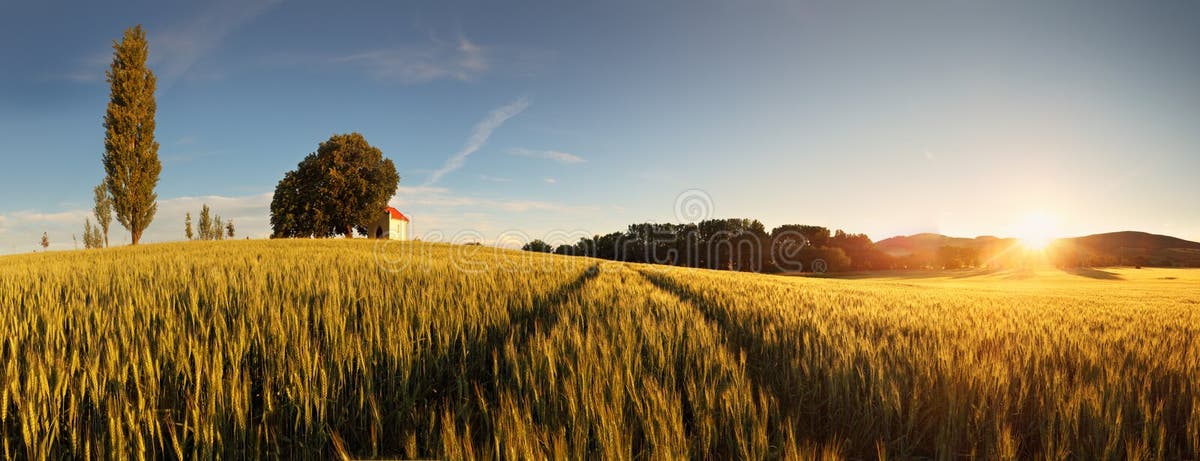 8,921 Sunset Over Wheat Field Stock Photos - Free & Royalty-Free Stock ...