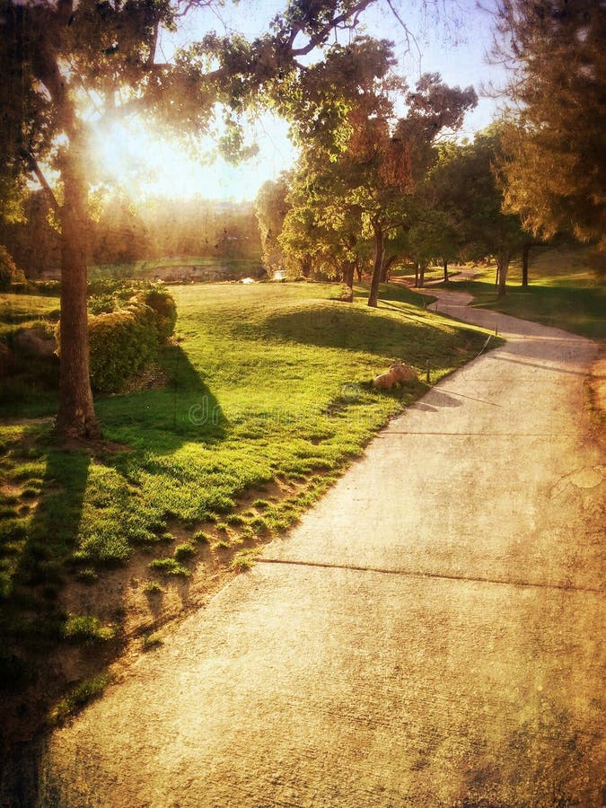 Sunset over winding path stock image. Image of morning - 70108407
