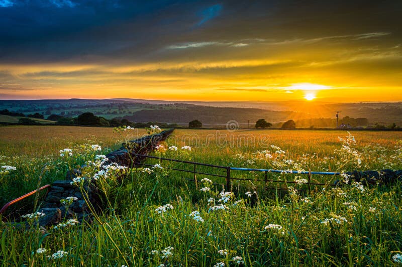 Sunset Over The Yorkshire Meadows Stock Photo - Image of evening ...