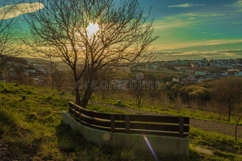Sunset Overlooking the City with a Bench and a Tree in the Foreground ...