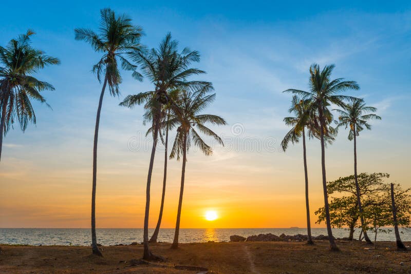 Sunset with Palm Trees on Beach Stock Photo - Image of lagoon, dusk ...