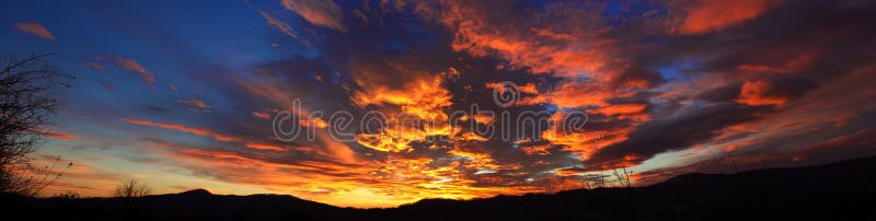 Sunset panorama stock photo. Image of landscape, trees - 48774358