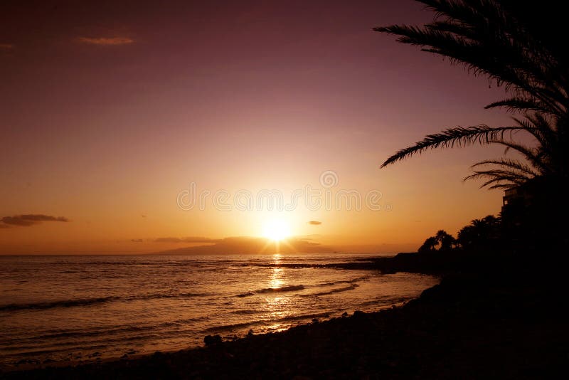Sunset Paradise stock image. Image of leaves, coastal, nature - 704567