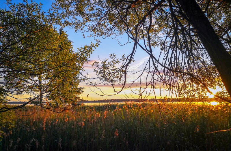 Sunset in the park stock photo. Image of lake, tree - 183174900
