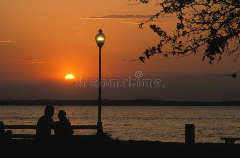 Sunset at the Park stock photo. Image of couple, tree, park - 241478