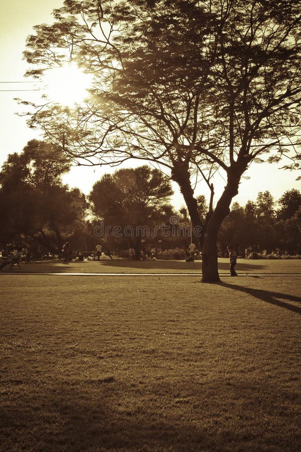 Sunset at the park stock image. Image of travel, creek - 28092659
