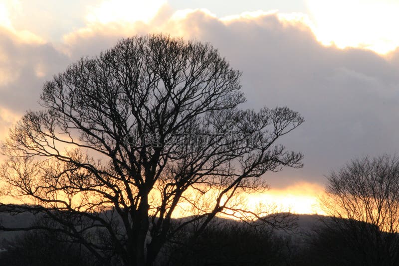 Sunset in the park in Bath stock image. Image of dark - 220360539