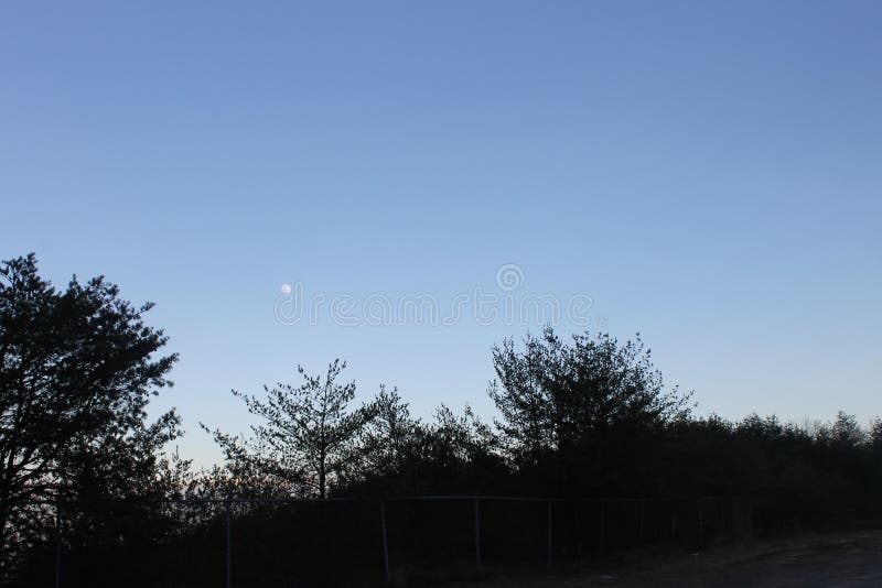 Sunset at the Park and a Cold Winter Stock Image - Image of park, view ...