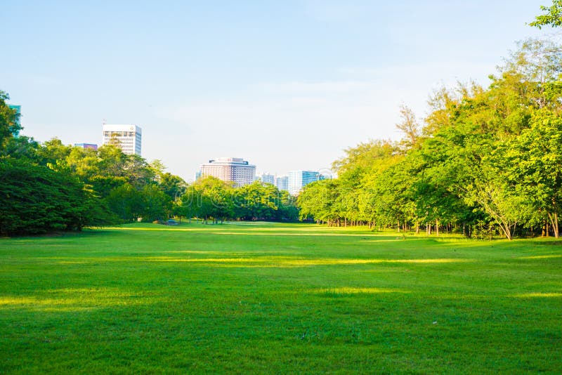 Sunset Park Green Lawn with Tree Editorial Stock Photo - Image of ...