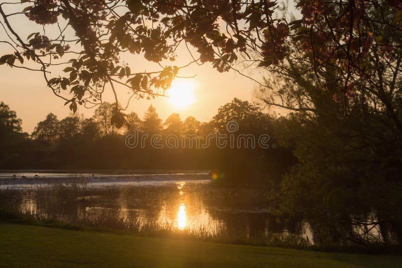 Sunset in a Park Over Looking a Lake Stock Photo - Image of park ...