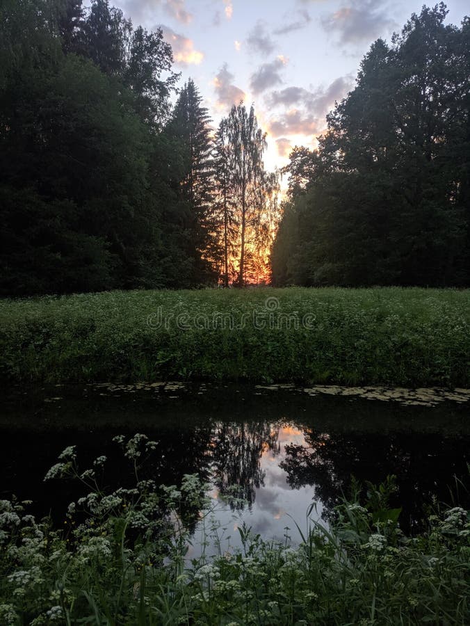 Sunset in the Park. Reflection of Trees in the Pond Stock Photo - Image ...