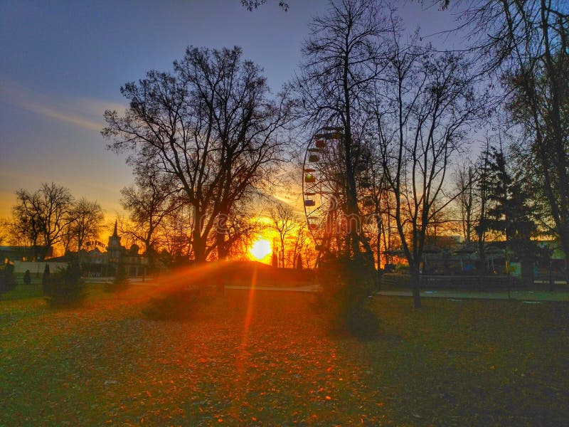 Sunset park sun stock photo. Image of dawn, evening - 204448332