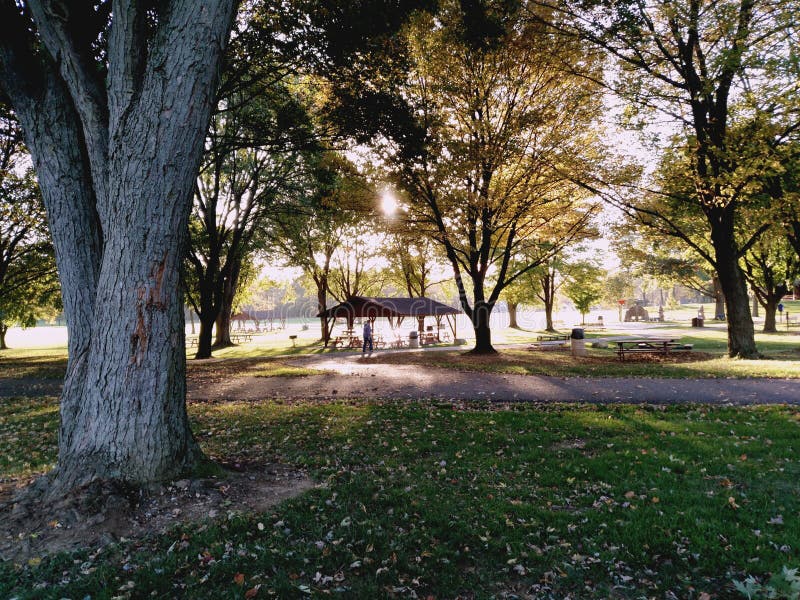 Sunset at the park stock image. Image of sunset, fall - 104965779