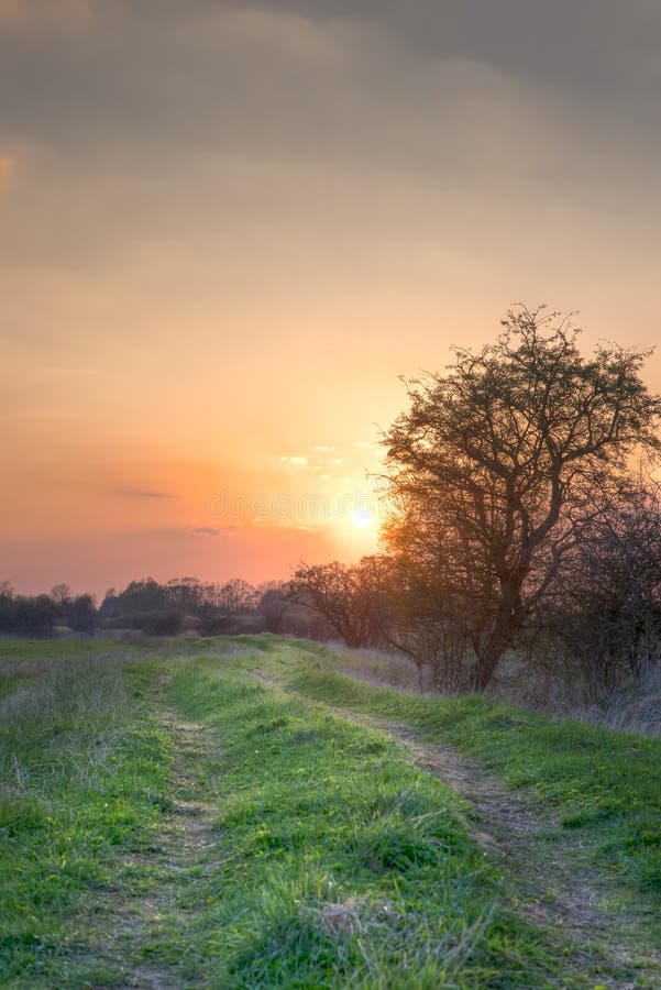 Sunset path stock photo. Image of serenity, grass, path - 38088924