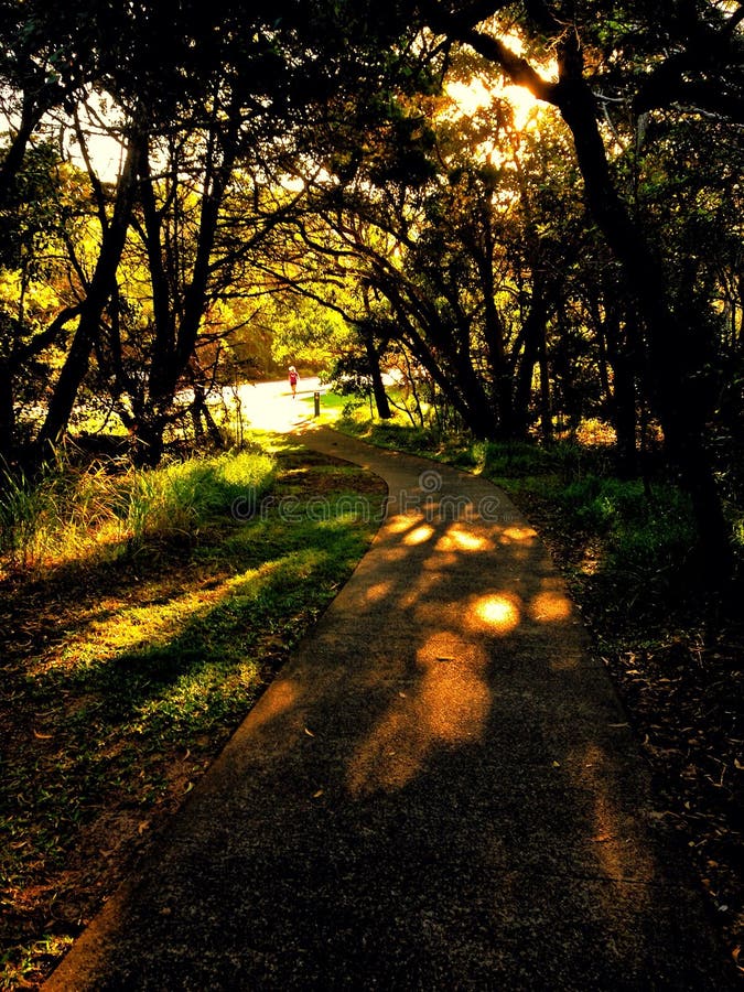 A Pathway At Sunset Leading To Calm Waters Stock Photo - Image of lake ...