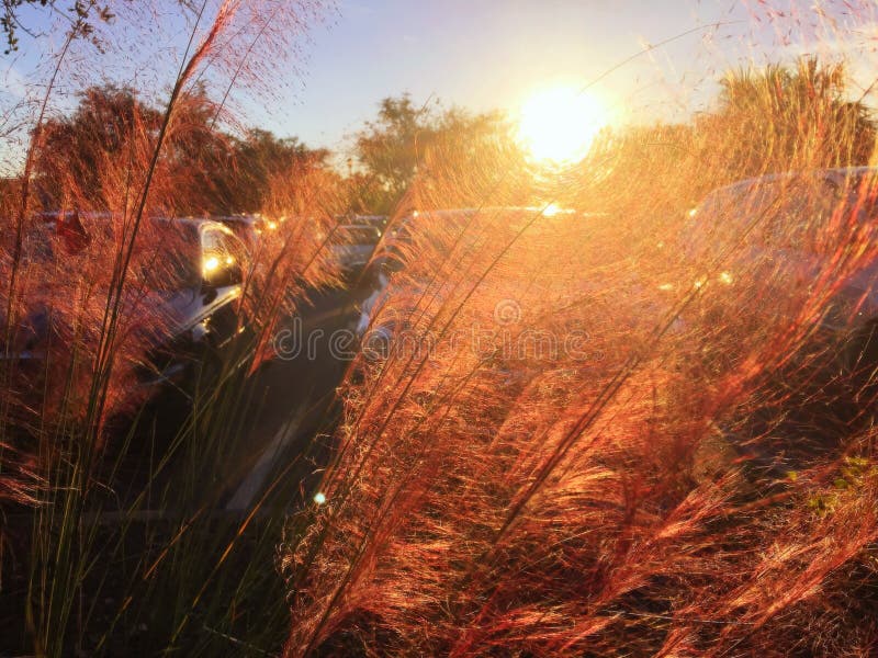 Sunset Patterns stock photo. Image of golden, pattern - 84313794
