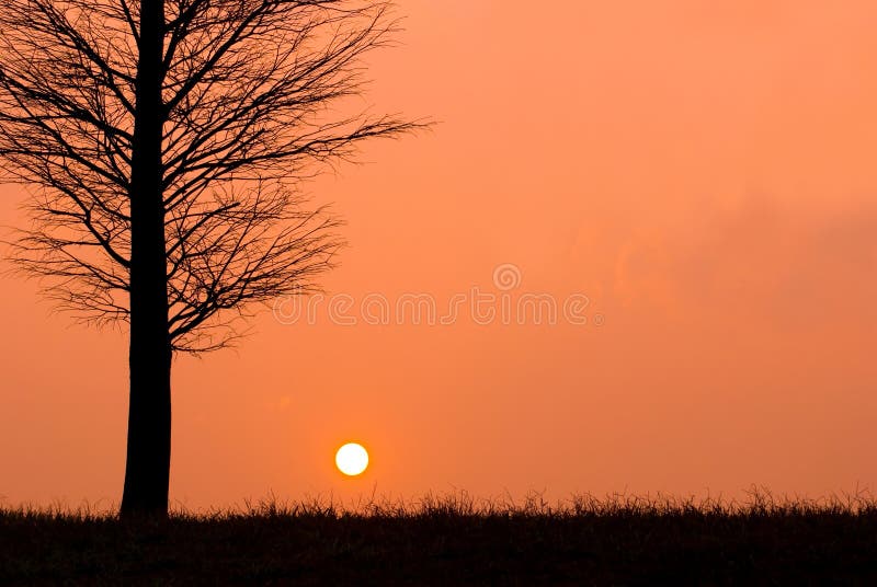Sunset in a Peaceful Evening, Field View. Stock Photo - Image of scene ...