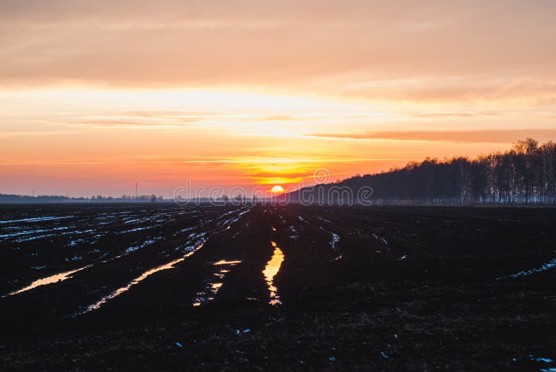 Peat field stock photo. Image of landscape, outdoors - 42440964