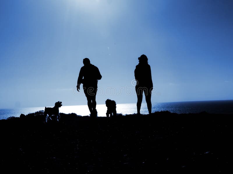 Sunset people dog stock photo. Image of summer, line - 79882362