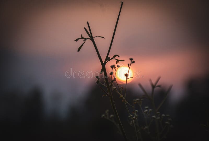 Sunset Photoshoot Red Sunset View Stock Image - Image of view, sunset ...