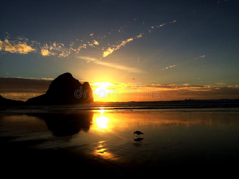 Sunset at Piha, New Zealand Stock Image - Image of seaside, destination ...