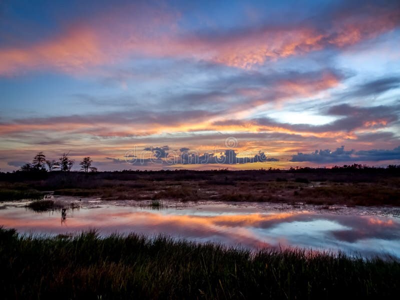 Jaimie Tuchman (Nolamissesyou) - Photographer profile