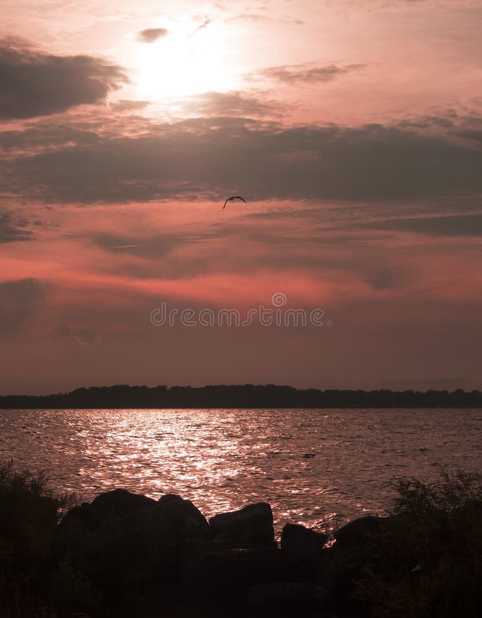 Sunset stock photo. Image of nature, scenic, grey, pink - 101428388