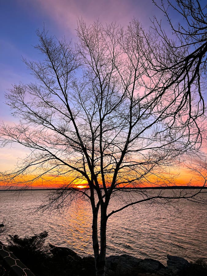 Sunset Pink Sky Ocean Sunset Stock Photo - Image of ocean, coastal ...