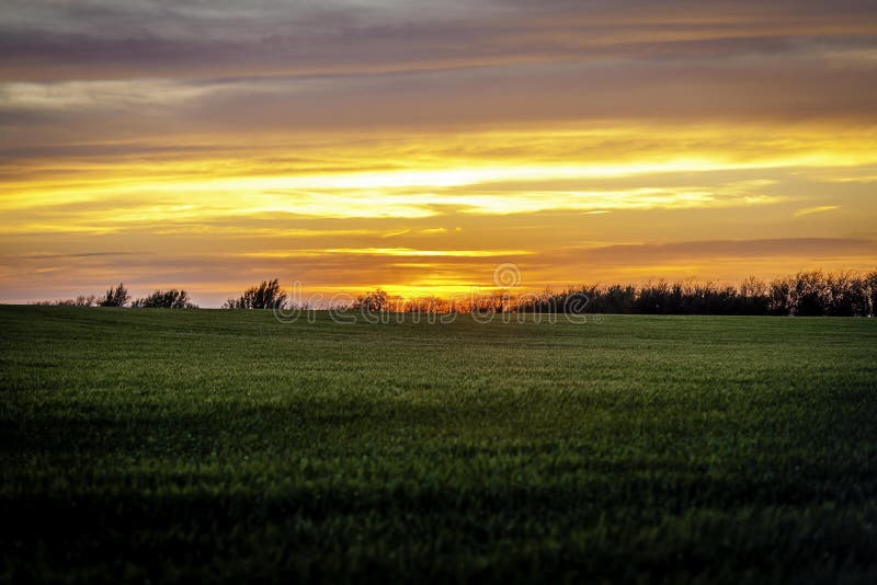 Sunset in the Plains stock image. Image of wheat, plains - 56086807