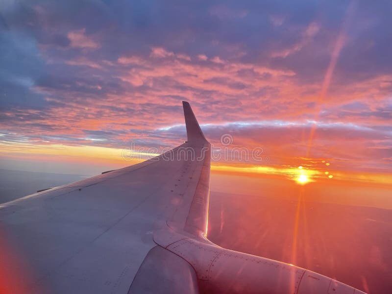 200 Plane Landing Pink Sunset Stock Photos - Free & Royalty-Free Stock ...