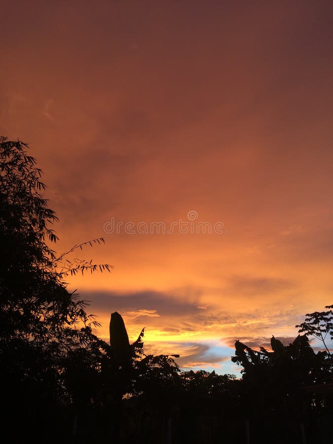 Sunset at 5pm stock photo. Image of lighting, flame - 219172952