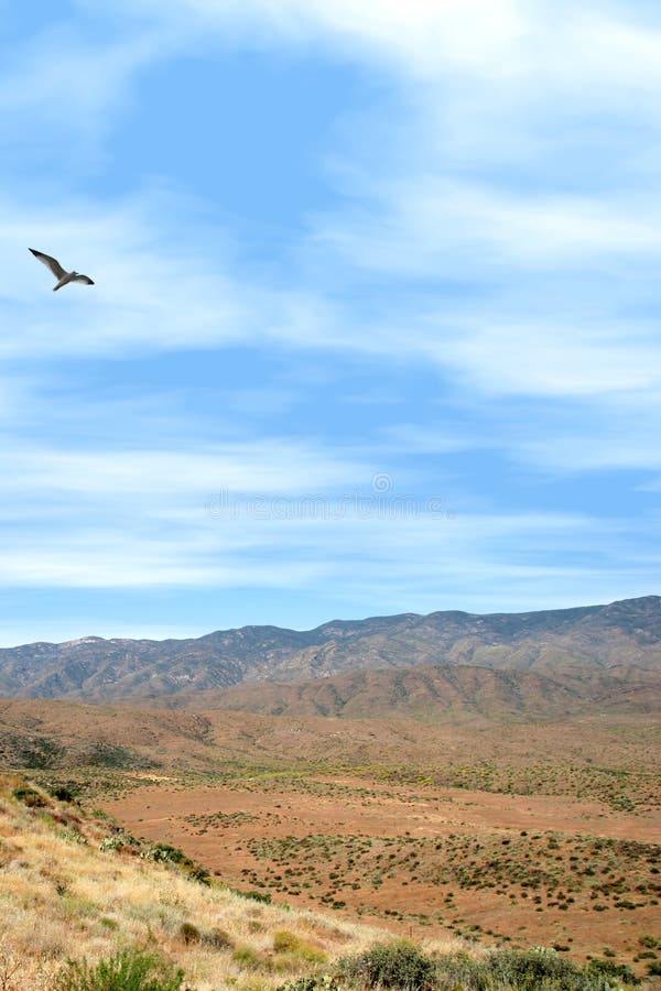 Sunset Point stock photo. Image of park, blue, earth, steep - 143382