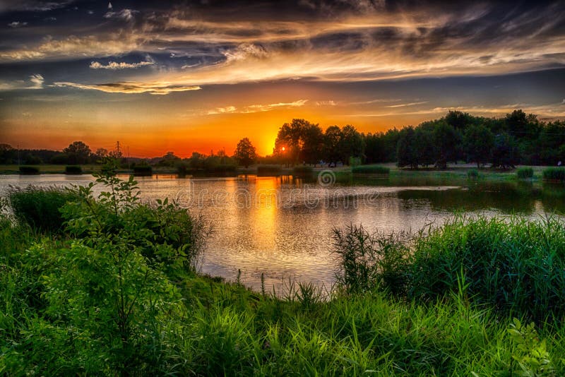 Sunset at the pond stock image. Image of mirror, reed - 120217103