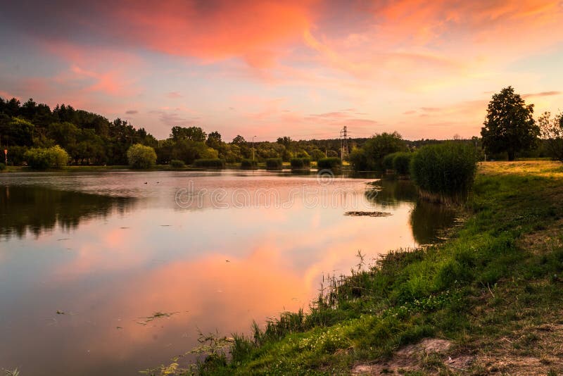 Sunset at the pond stock photo. Image of pond, reed - 120334670
