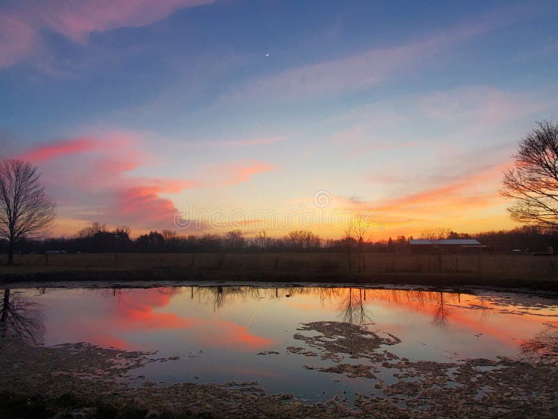 Sunset Pond Park: Autumn Leaves Carpet Forest Path, Bellingham, WA, USA ...