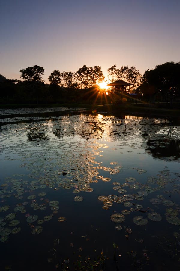 Sunset at a pond stock photo. Image of reflection, beautiful - 43007280