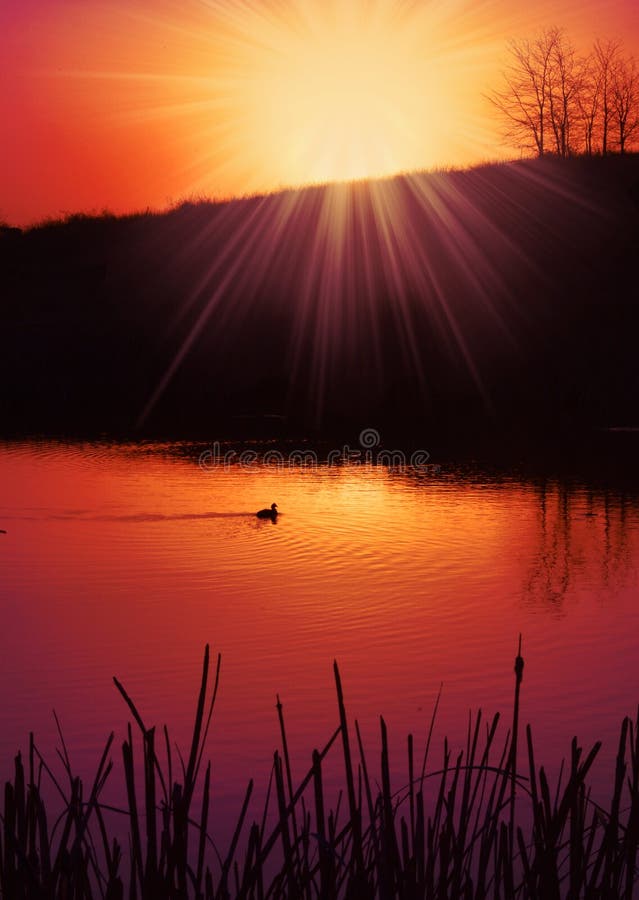 Sunset pond stock image. Image of morning, color, pond - 44566069