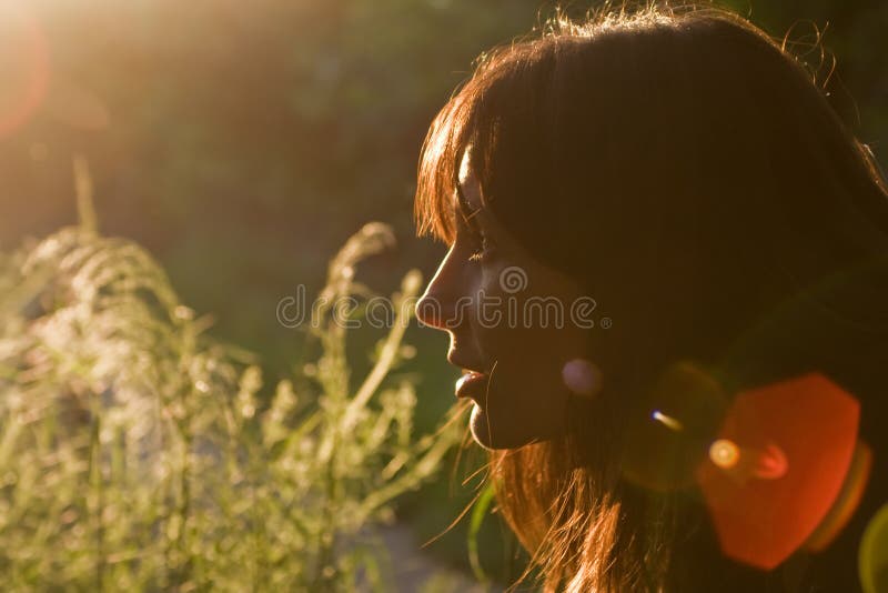 Sunset portrait stock image. Image of life, illuminated - 5109341