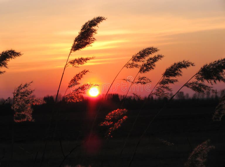 29,071 Prairie Sunset Stock Photos - Free & Royalty-Free Stock Photos ...