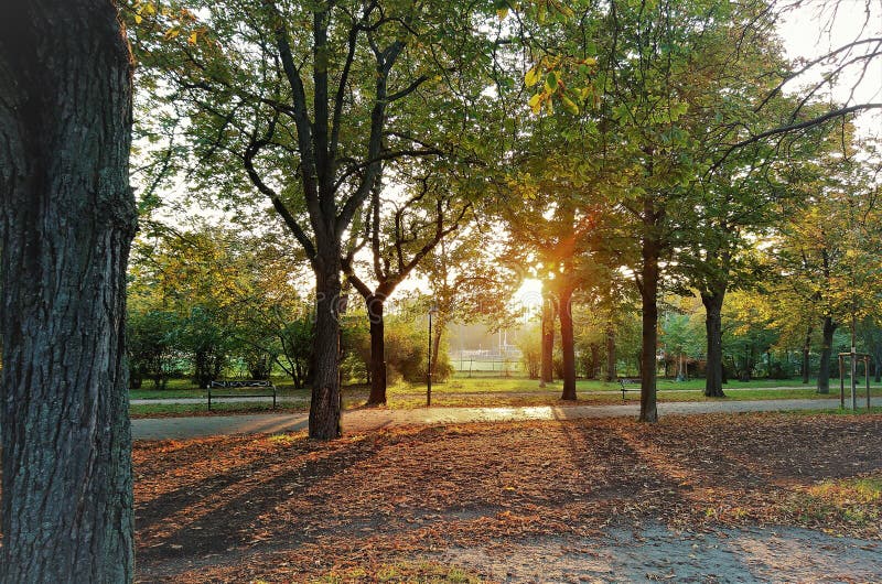 Sunset in Prater stock photo. Image of nature, summer - 129608188