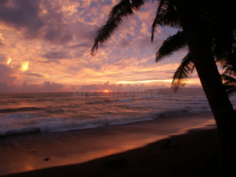 Sunset in Punta Banco stock image. Image of clouds, palm - 31021