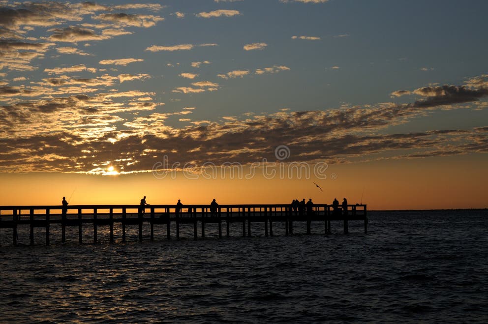 Sunset Punta Gorda stock photo. Image of public, tree - 6606306