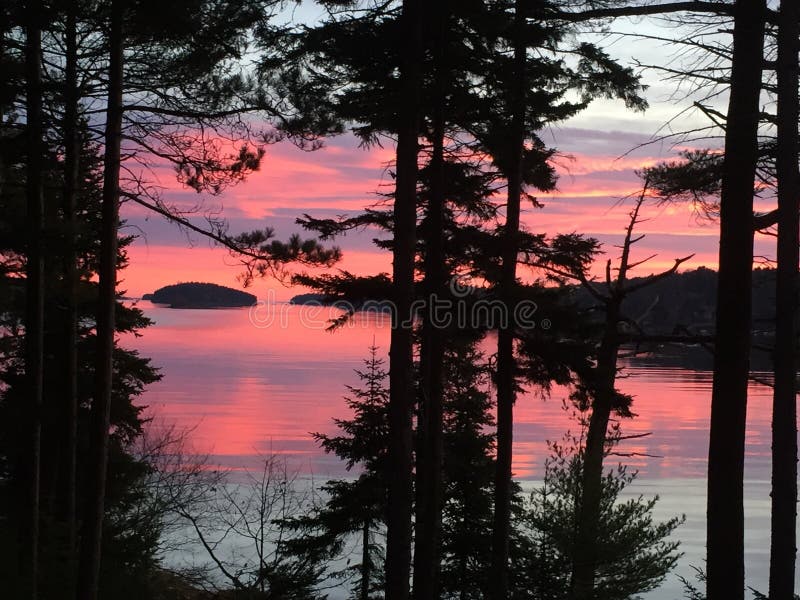 Quahog stock image. Image of chowder, delicacy, background - 10573243