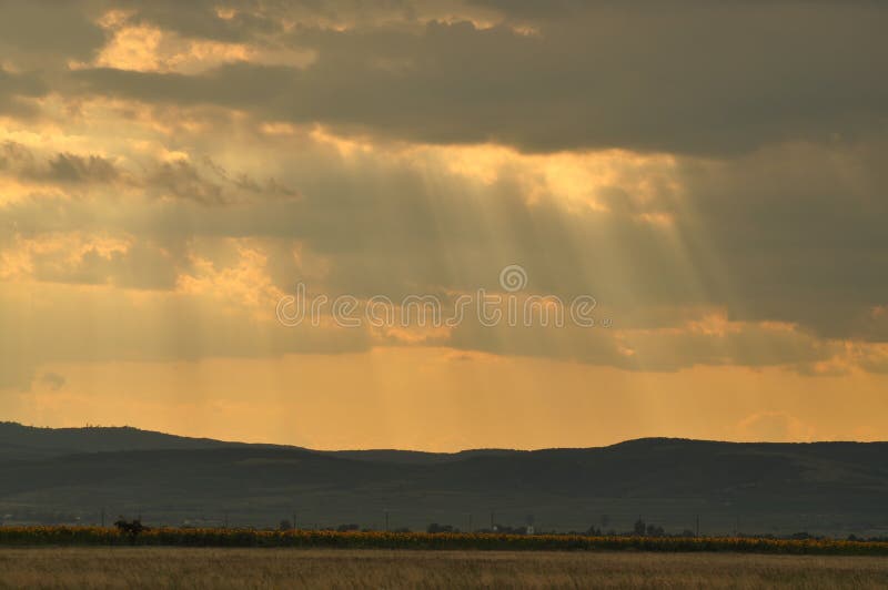 Sunset stock photo. Image of night, somew, lake, flower - 48356414