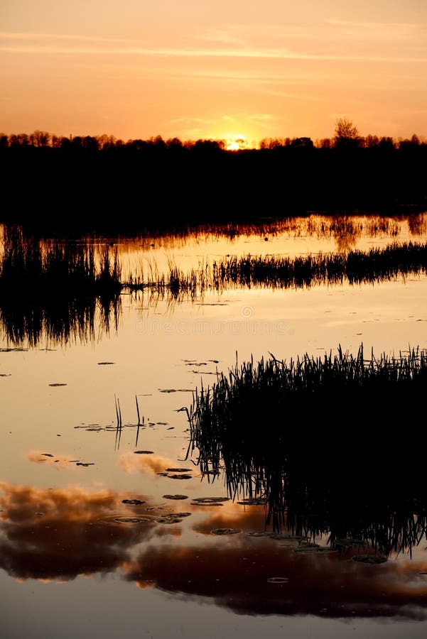 Sunset on a Quiet Secluded Lake in the Forest. Beautiful View of the ...